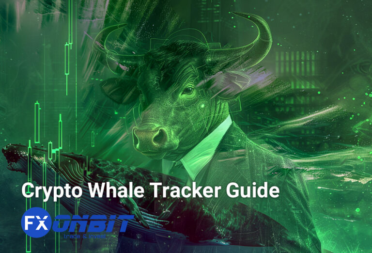 Crypto Whale Tracker Guide | Follow the Biggest Players #1